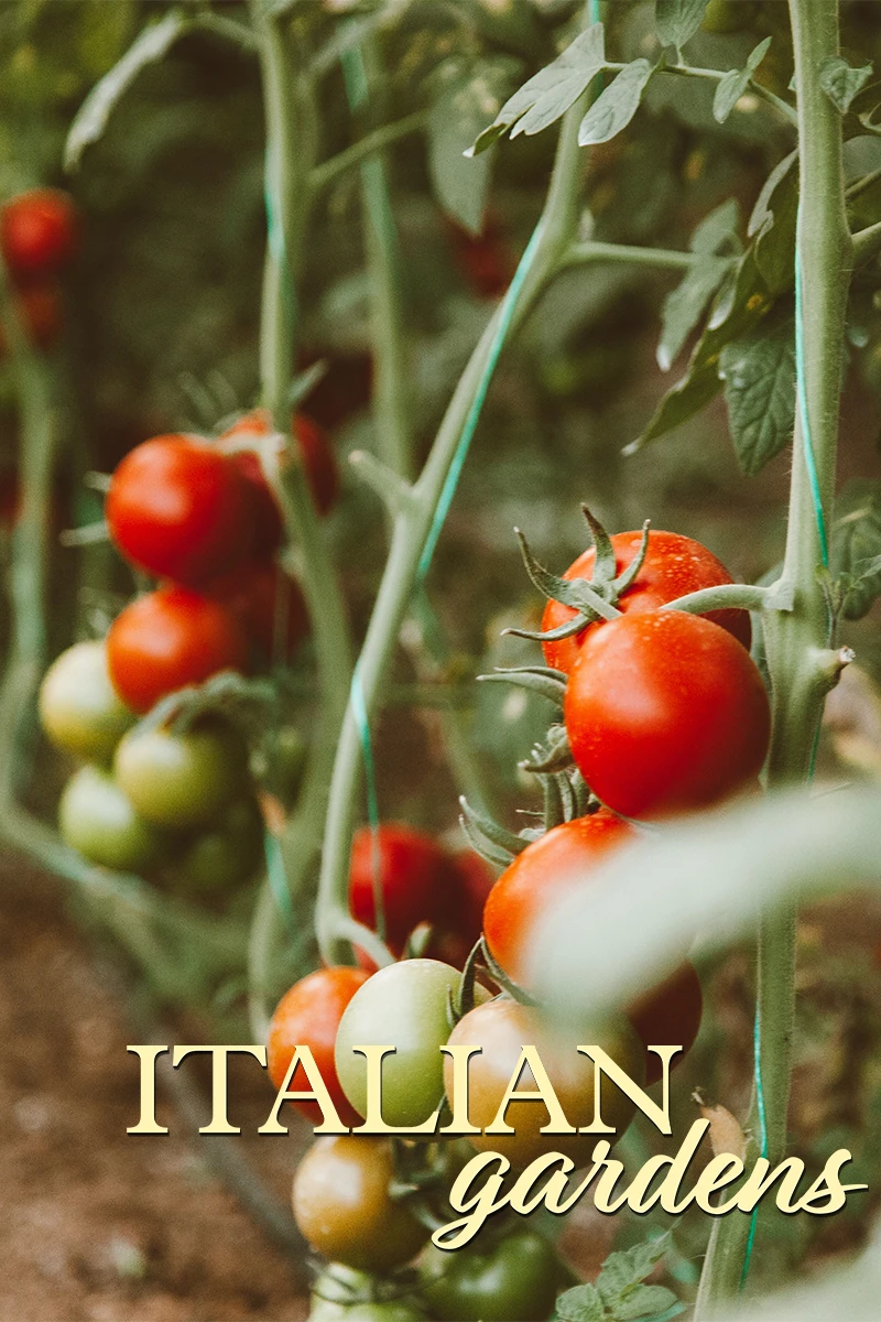 Italian Gardens | TLN Originals